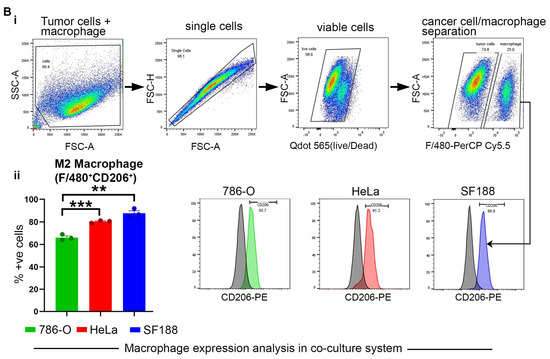 Deciphering CD59: Unveiling Its Role in Immune Microenvironment and Prognostic Significance