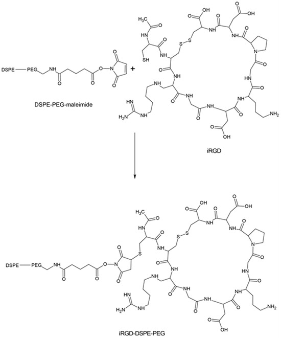 Enhancing Tumor Targeted Therapy: The Role of iRGD Peptide in Advanced ...