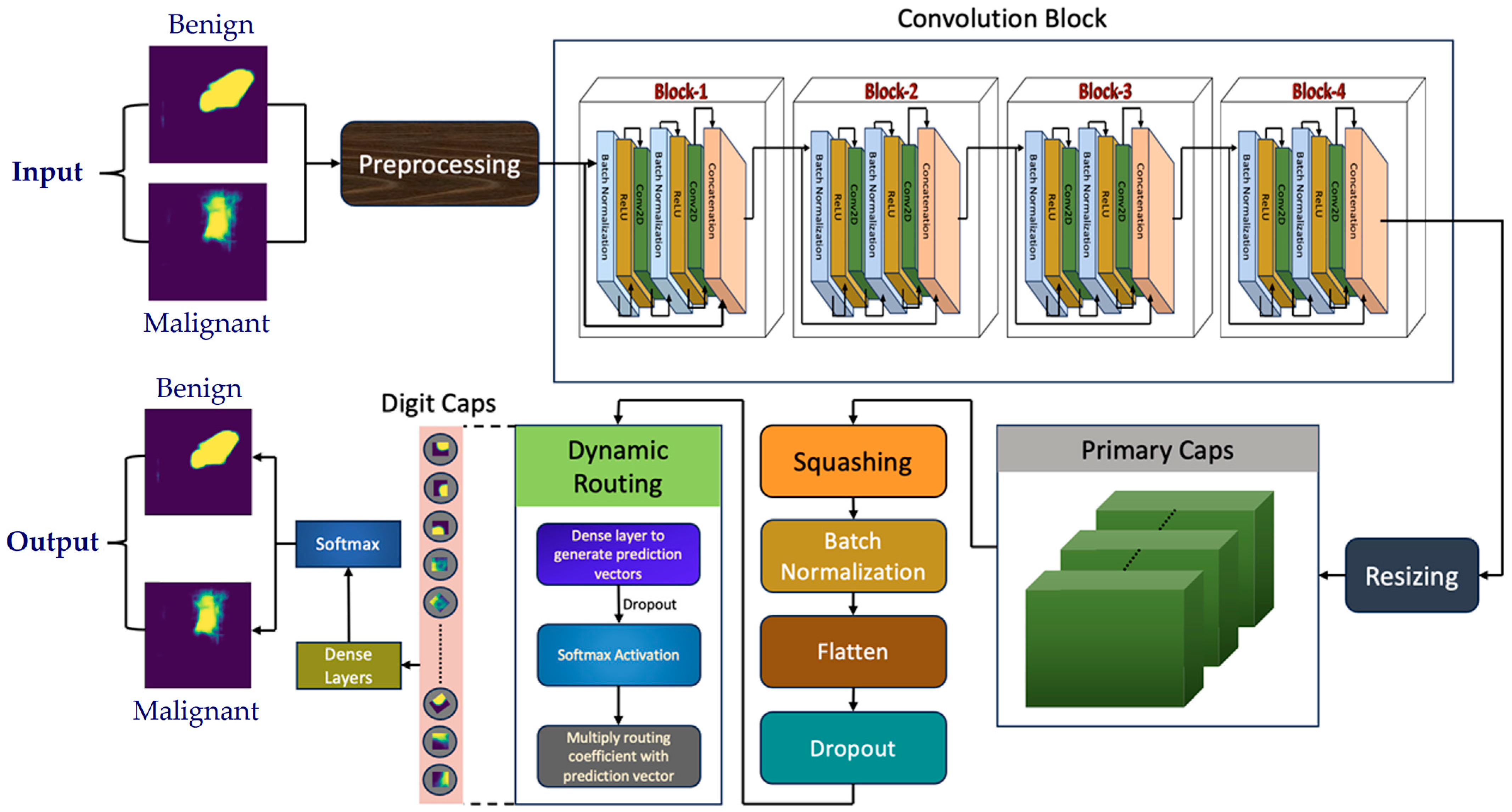 UCapsNet: A Two-Stage Deep Learning Model Using U-Net and Capsule ...
