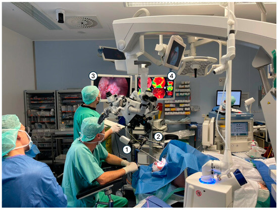 Endoscopic In Vivo Hyperspectral Imaging for Head and Neck Tumor ...