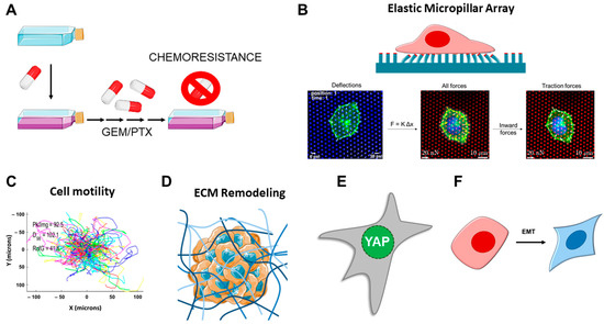 Altered Mechanobiology of PDAC Cells with Acquired Chemoresistance to ...