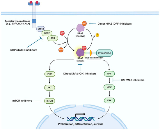Clinical Advances and Challenges in Targeting KRAS Mutations in Non ...