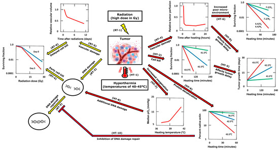 The Rationale for Combining Hypofractionated Radiation and Hyperthermia
