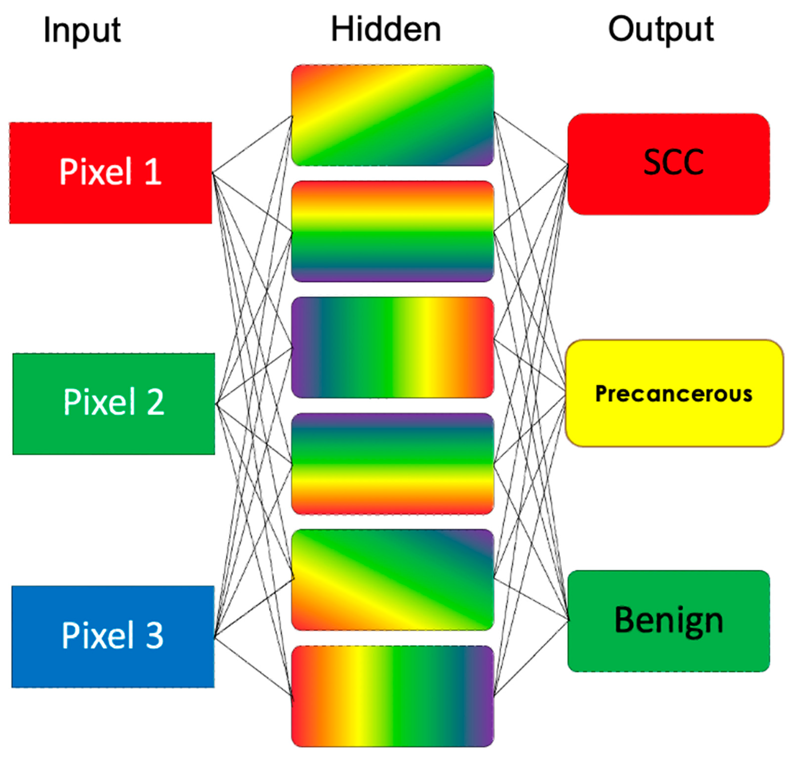 Snap Diagnosis: Developing an Artificial Intelligence Algorithm for ...