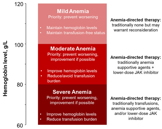 Anemia in Myelofibrosis: A Focus on Proactive Management and the Role ...