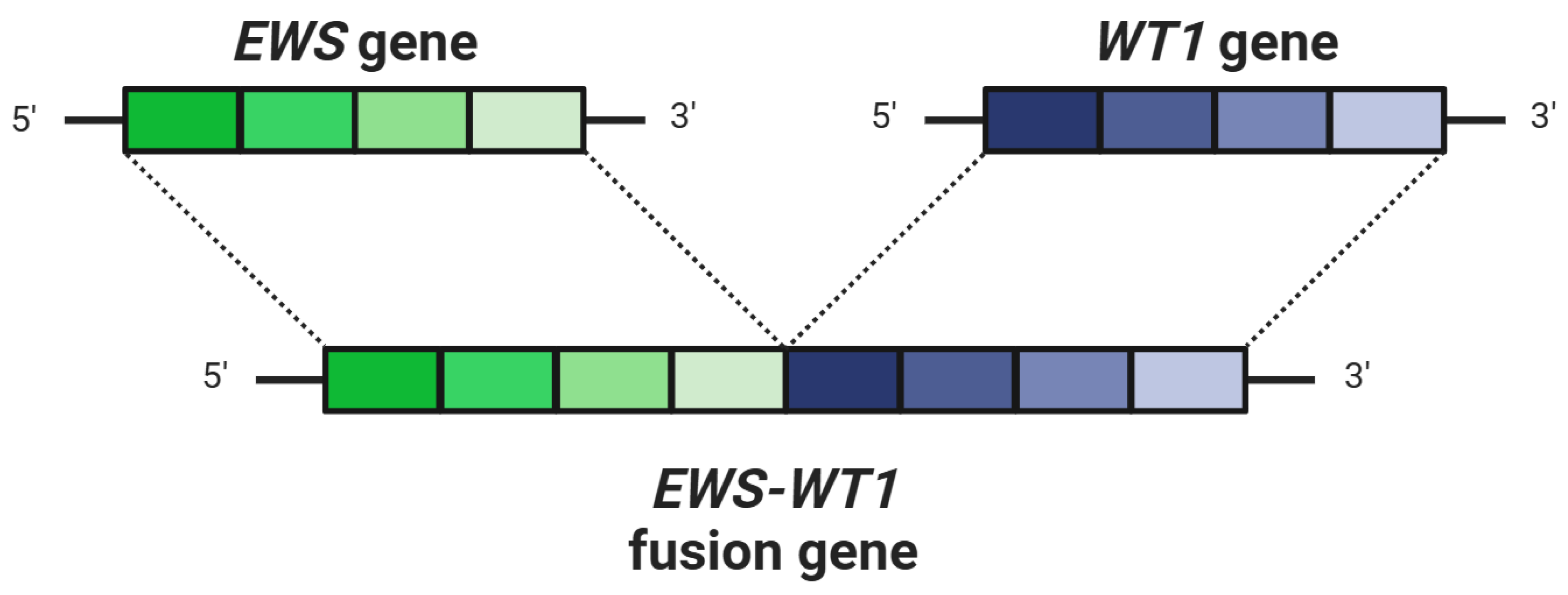Desmoplastic Small Round Cell Tumors of the Gastrointestinal Tract