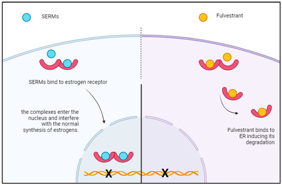 Fulvestrant Monotherapy After CDK4/6 Inhibitors in Metastatic Breast ...