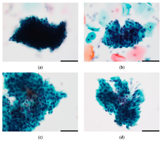 Quantitative Structural Analysis of Hyperchromatic Crowded Cell Groups ...