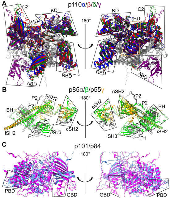 Molecular Basis of Oncogenic PI3K Proteins