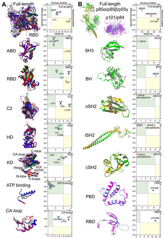 Molecular Basis of Oncogenic PI3K Proteins