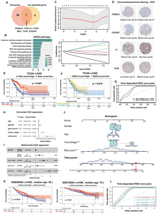 Single-Cell and Bulk Transcriptomics Reveal the Immunosenescence ...