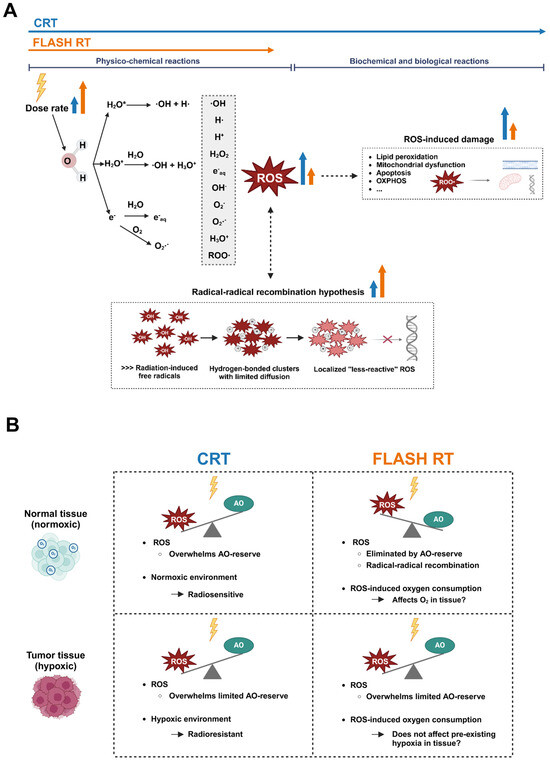 Exploring the Metabolic Impact of FLASH Radiotherapy