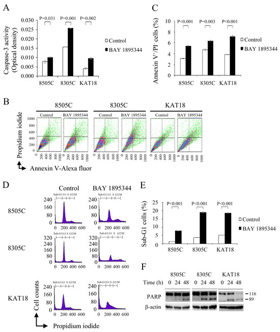 Targeting Ataxia Telangiectasia-Mutated and Rad3-Related for Anaplastic ...