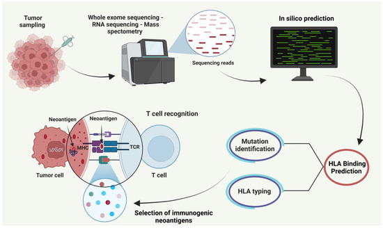 Personalized Immunity: Neoantigen-Based Vaccines Revolutionizing Hepatocellular Carcinoma Treatment