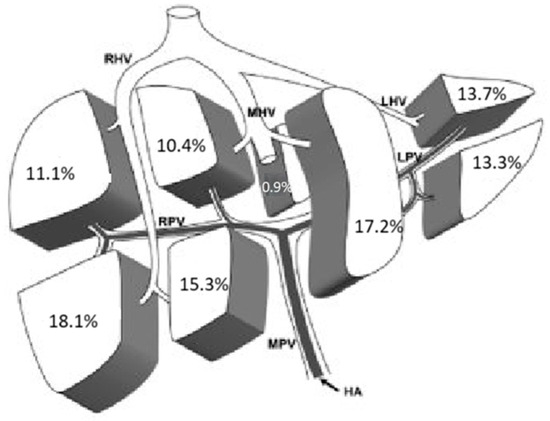 Robotic Liver Resection for Hepatocellular Carcinoma: A Multicenter ...