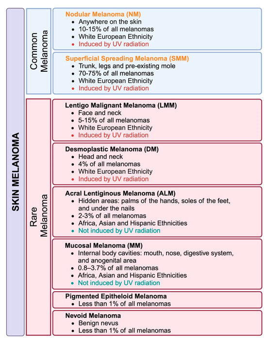 Acral Melanoma in Skin of Color: Current Insights and Future Directions ...