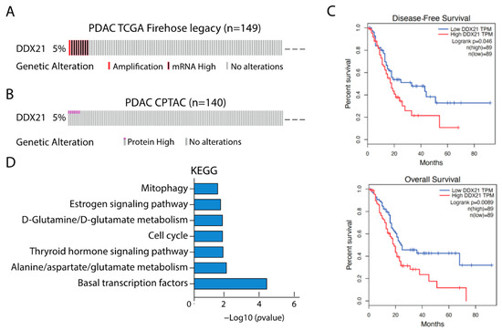 DDX21 Controls Cell Cycle Progression and Autophagy in Pancreatic ...