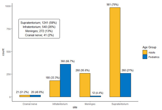 Epidemiology and Outcome of Primary Central Nervous System Tumors Treated at King Hussein Cancer ...
