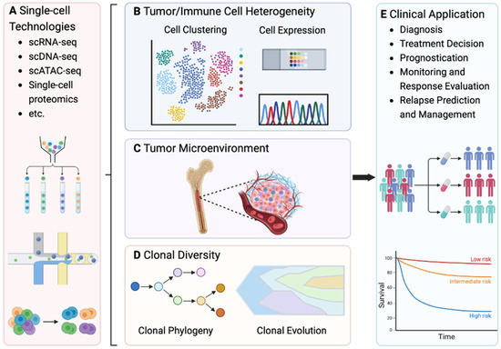 Multiple Myeloma Insights from Single-Cell Analysis: Clonal Evolution, the Microenvironment ...