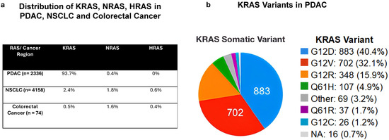 Recent Anti-KRASG12D Therapies: A “Possible Impossibility” for ...