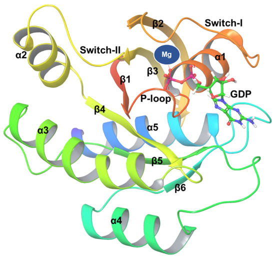KRAS Mutations in Cancer: Understanding Signaling Pathways to Immune ...