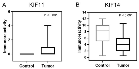 KIF11 and KIF14 Are a Novel Potential Prognostic Biomarker in Patients ...