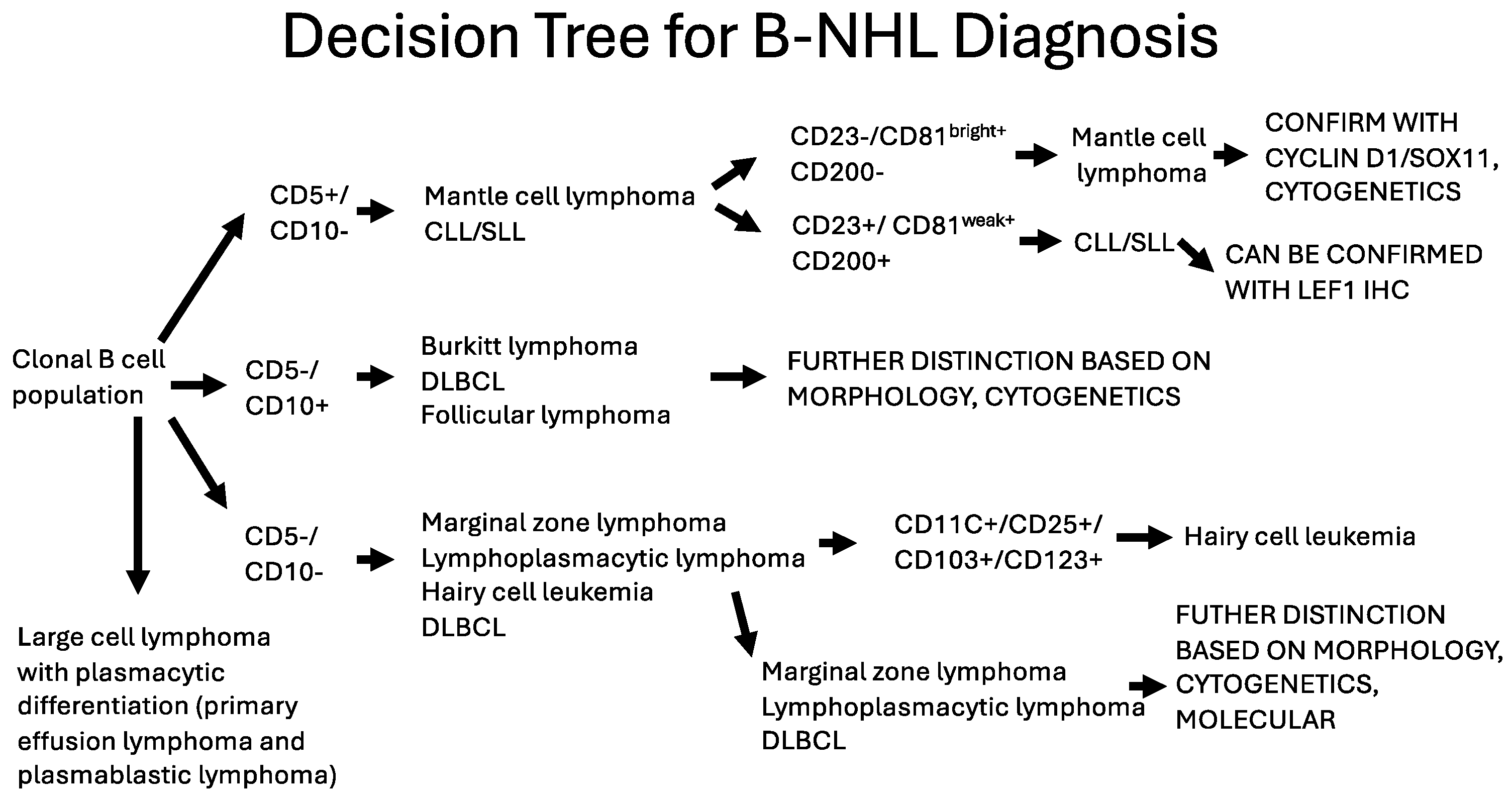 Flow Cytometry for B-Cell Non-Hodgkin and Hodgkin Lymphomas