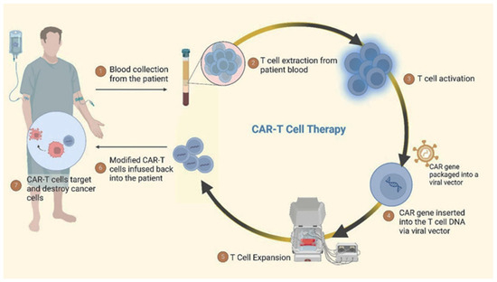 Current Landscape and Future Directions in Cancer Immunotherapy ...