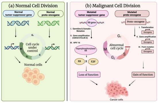 Exploring the Genetic Orchestra of Cancer: The Interplay Between ...
