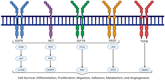 Recent Advances and Challenges in the Treatment of Advanced Pancreatic ...