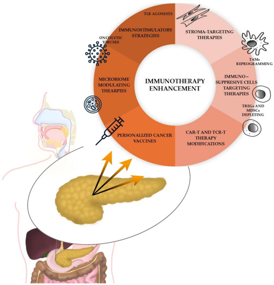 Inflammation, Immunosuppression, and Immunotherapy in Pancreatic Cancer ...