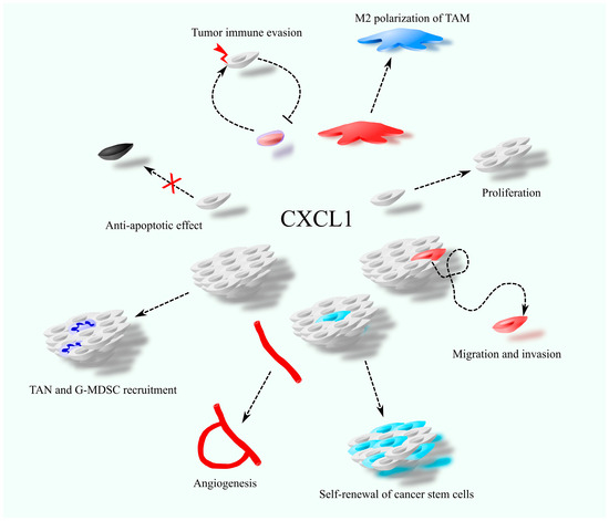 The CXCL1-CXCR2 Axis as a Component of Therapy Resistance, a Source of ...