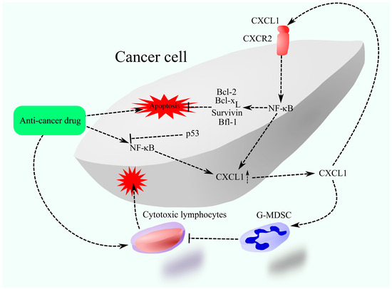 The CXCL1-CXCR2 Axis as a Component of Therapy Resistance, a Source of ...