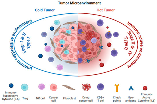 Interleukin-6 Is a Crucial Factor in Shaping the Inflammatory Tumor ...