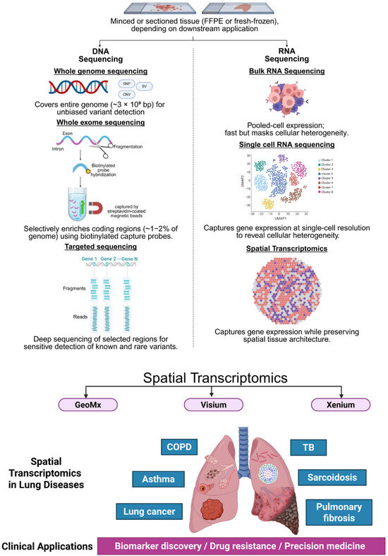 Spatial Transcriptomics in Lung Cancer and Pulmonary Diseases: A Comprehensive Review