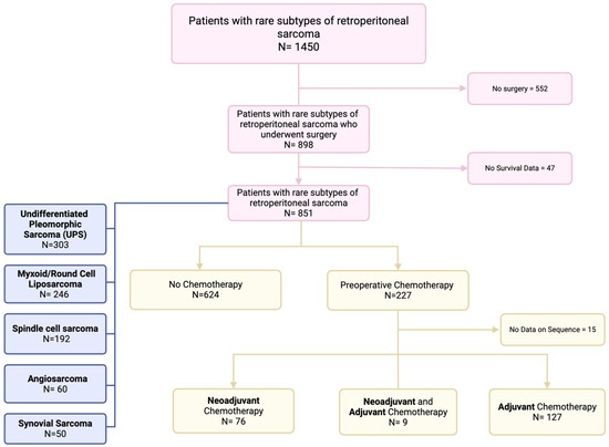 Perioperative Systemic Therapy in Rare, Chemosensitive Subtypes of ...