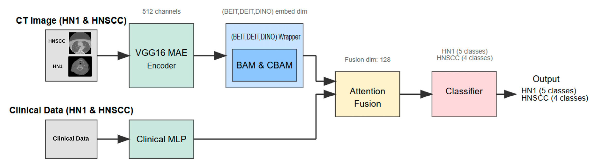 Multimodal Deep Learning for Stage Classification of Head and Neck ...