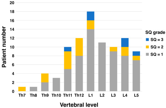 Multiple or More Severe Grade Prevalent Vertebral Fractures Are ...
