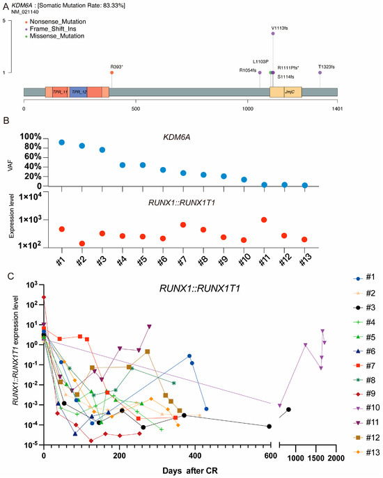 KDM6A Variants Increased Relapse Risk in Adult Acute Myeloid Leukemia