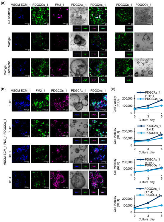 Patient-Derived Gastric Cancer Assembloid Model Integrating Matched ...