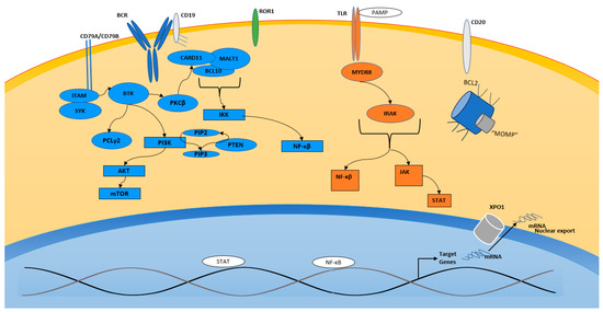 Molecular Pathways and Targeted Therapies in Relapsed/Refractory ...