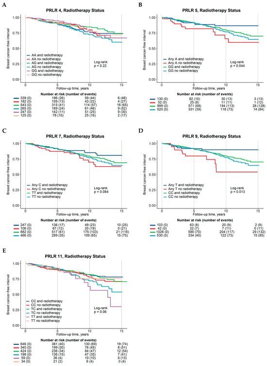 Prognostic Differences of Adjuvant Radiotherapy in Breast Cancer Cohorts Based on PRLR Genotypes ...