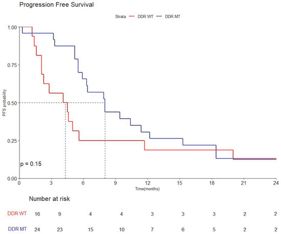 The Impact of DDR Gene Mutations on the Efficacy of Etoposide Plus ...