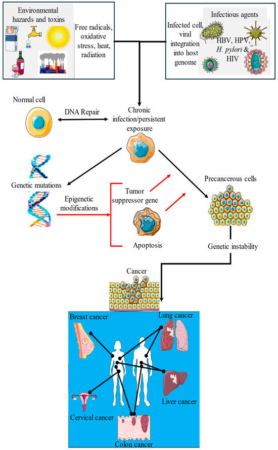 The Exposome Perspective: Environmental and Infectious Agents as ...