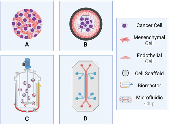 Modeling the Bone Marrow Microenvironment to Better Understand the ...