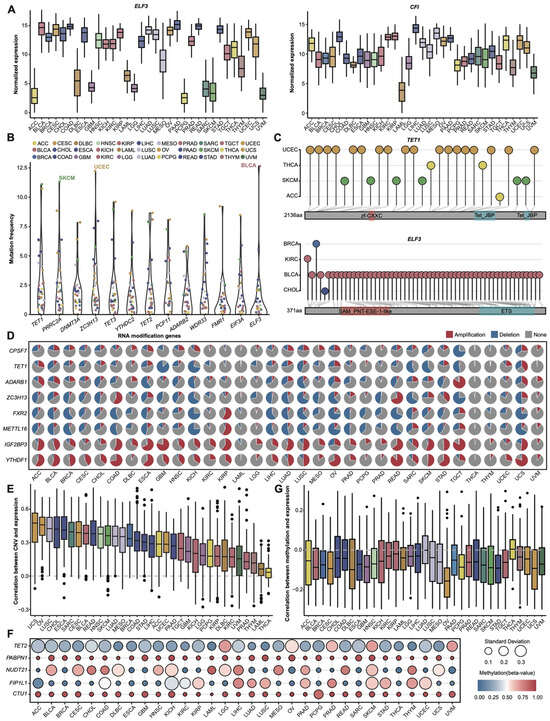 Unraveling the Clinical Landscape of RNA Modification Regulators with ...