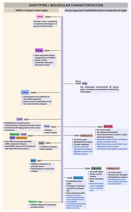 Luminal and Basal Subtypes Across Carcinomas: Molecular Programs Beyond ...