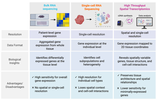 Current Role and Future Frontiers of Spatial Transcriptomics in Genitourinary Cancers