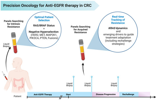 Anti-EGFR Therapy in Metastatic Colorectal Cancer: Identifying ...