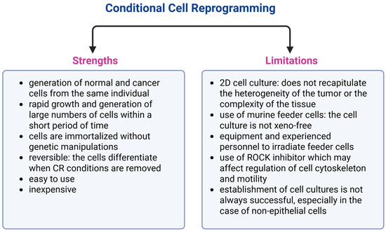 Conditionally Reprogrammed Cells as Preclinical Model for Rare Cancers
